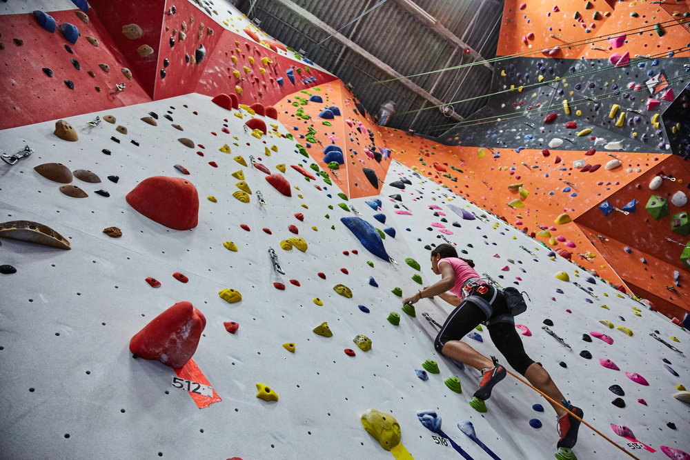 7 Things to Do in Long Island City in August - Gotham Point